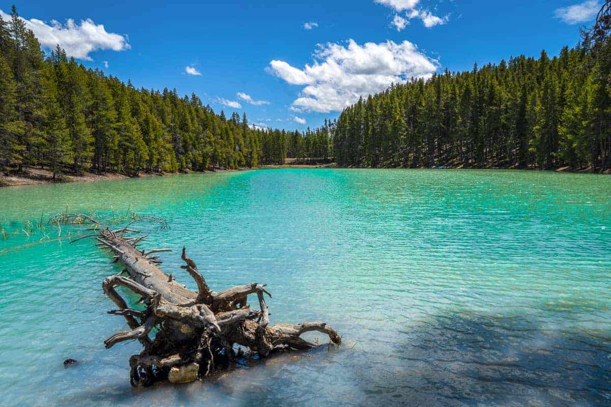 Perfect One Day In Yellowstone Itinerary For First-Timers
