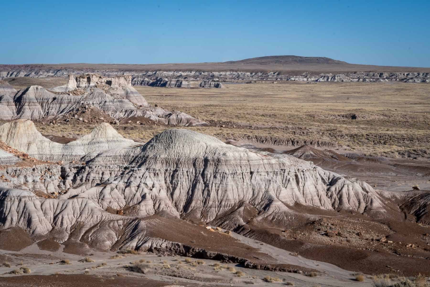 Perfect One Day In Petrified Forest National Park Itinerary