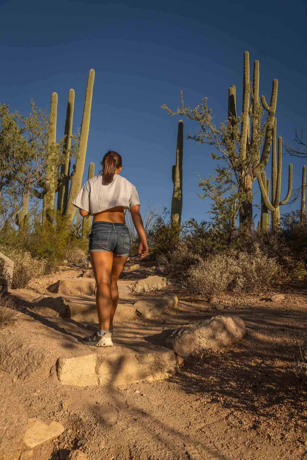 This Is The Best Time To Visit Saguaro National Park (And Worst)