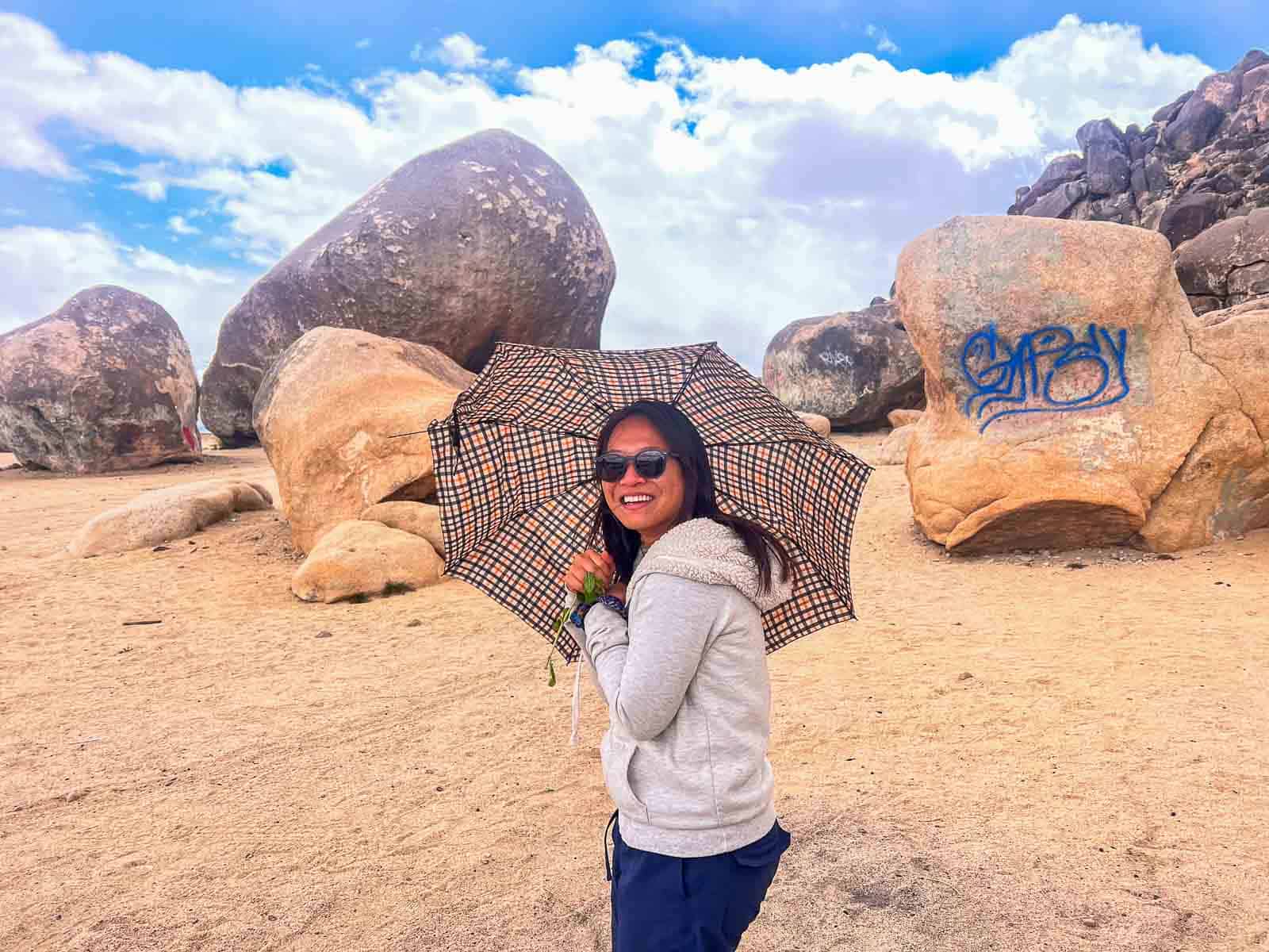 Best Time To Visit Joshua Tree National Park: Weather & Events