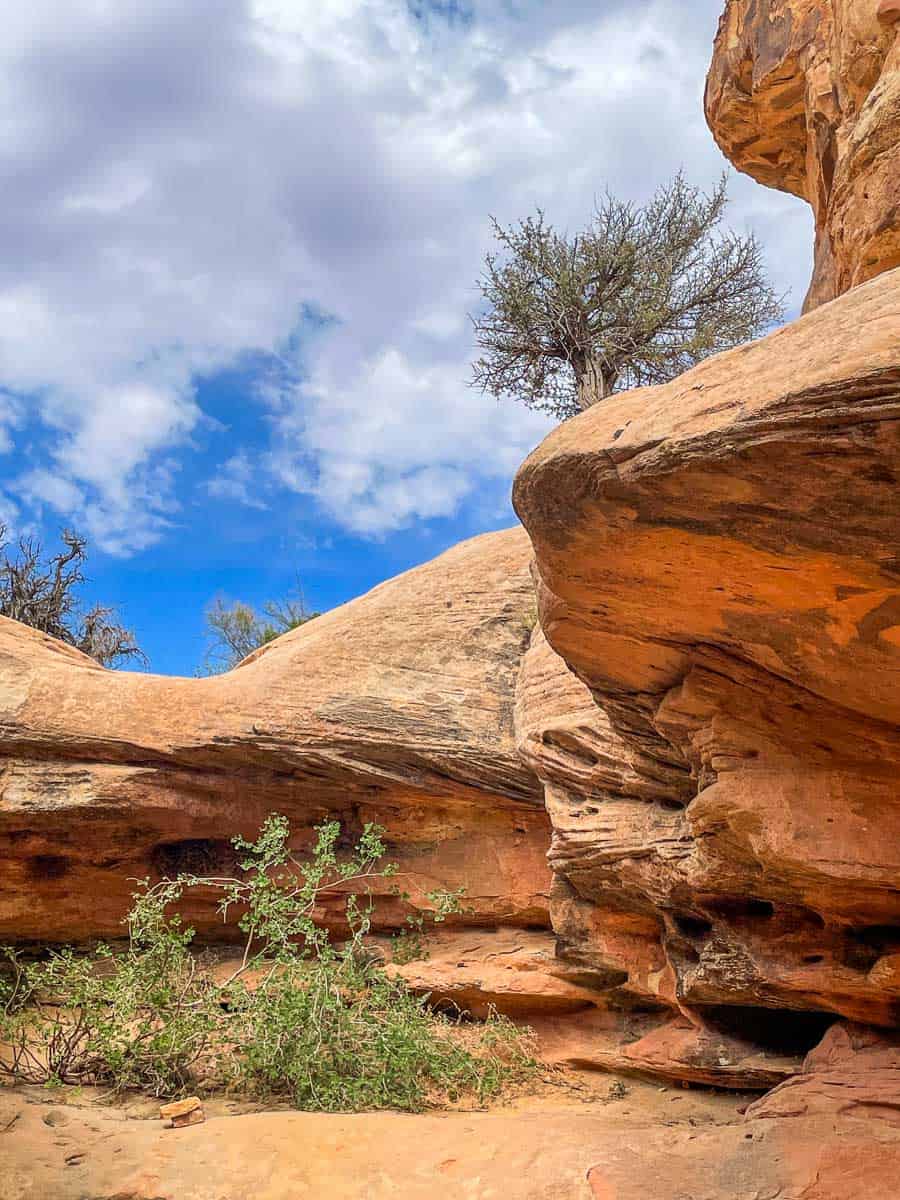 Perfect One Day In Capitol Reef National Park Itinerary For First-Timers