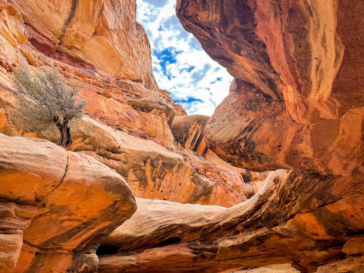 Perfect One Day In Capitol Reef National Park Itinerary For First-Timers