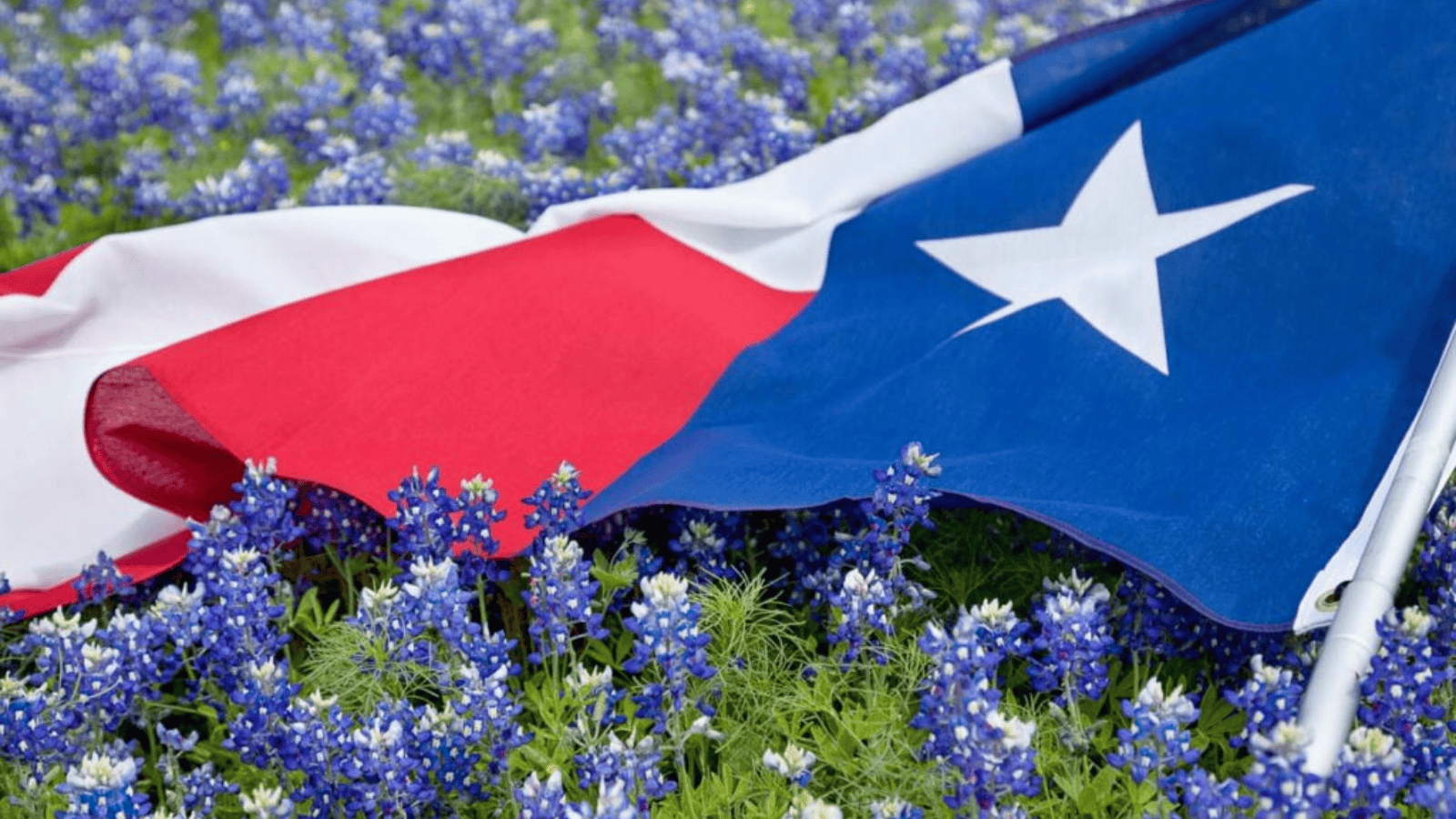 17 Surprising Facts About Texas To Impress Even Locals