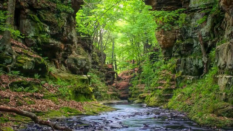 12 Surprisingly Beautiful Places In Wisconsin You Didn't Know Existed