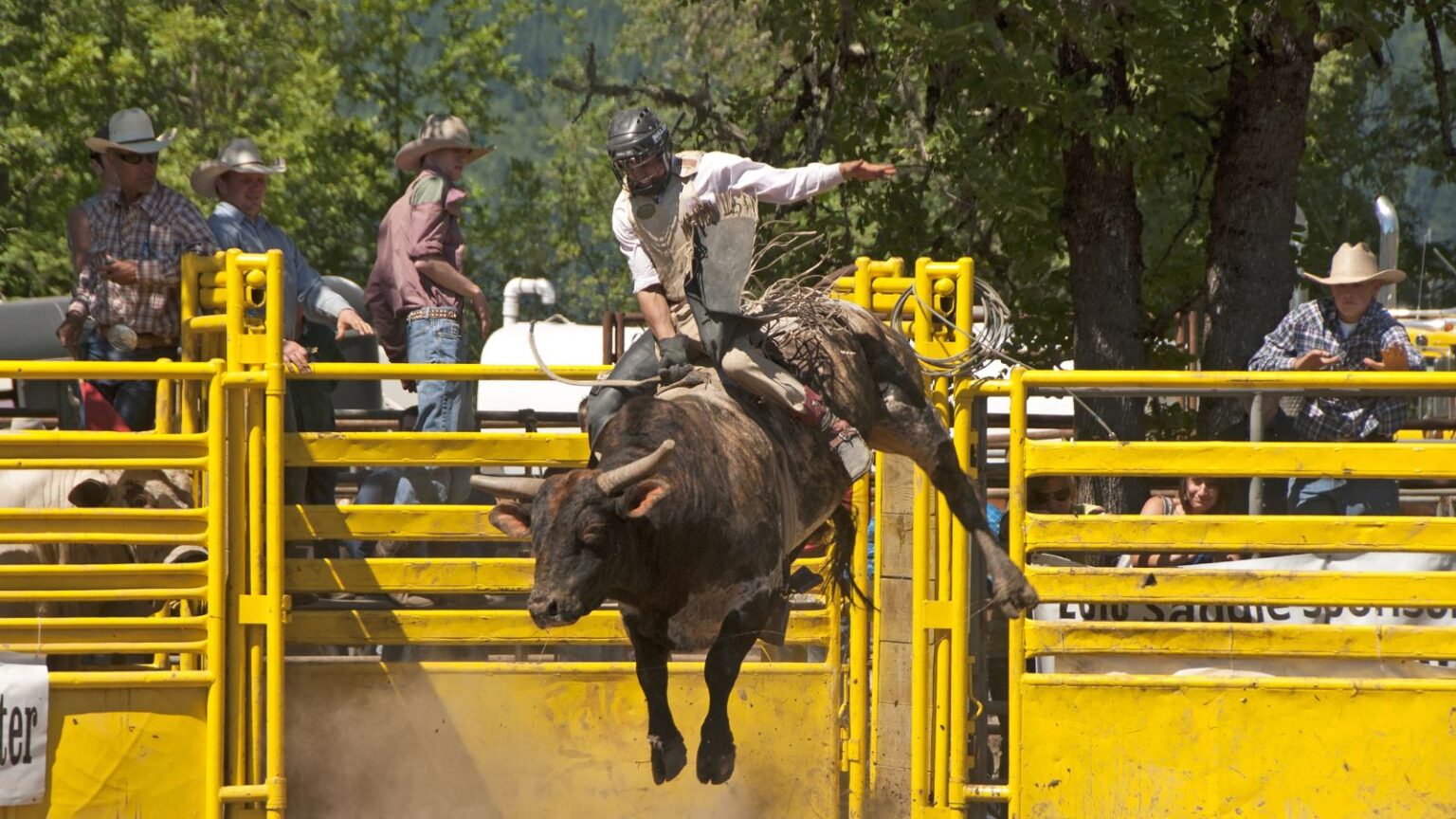 21 Most Dangerous Hobbies For Those Who Laugh In The Face Of Fear