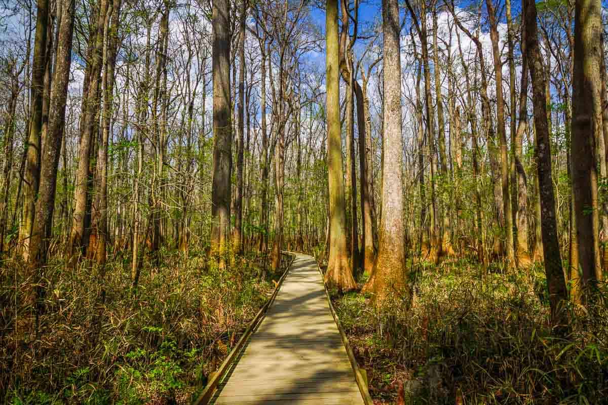 12 Smallest National Parks In The US You Can Easily See In One Day