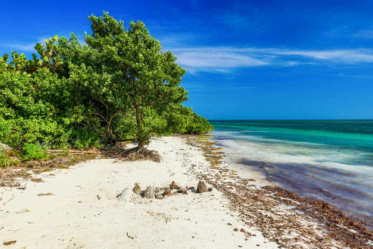 Perfect One Day In Biscayne National Park Itinerary For First-Timers