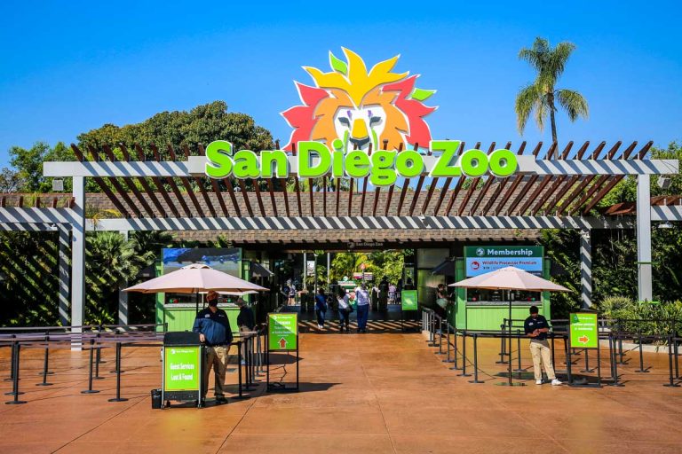 10 Best Zoos In The USA That Are Absolutely Not Just For Kids