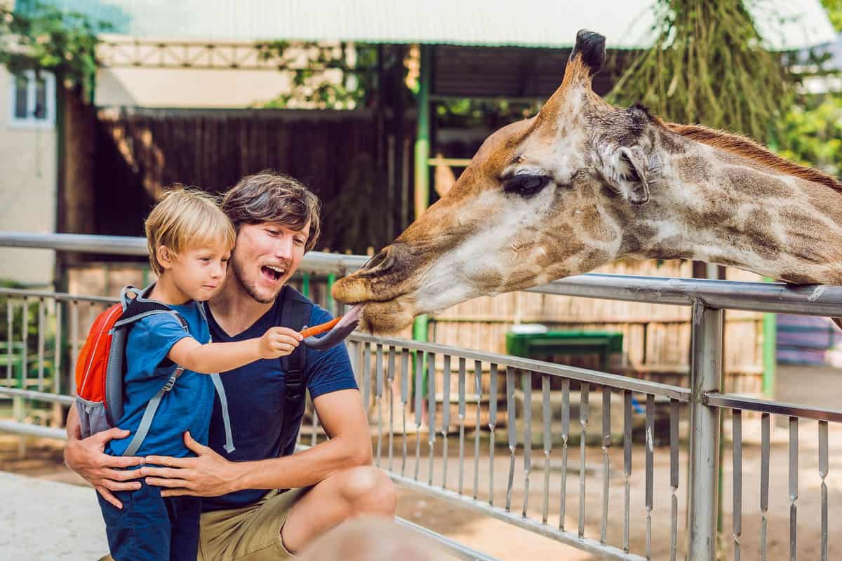 10 Best Zoos In The USA That Are Absolutely Not Just For Kids