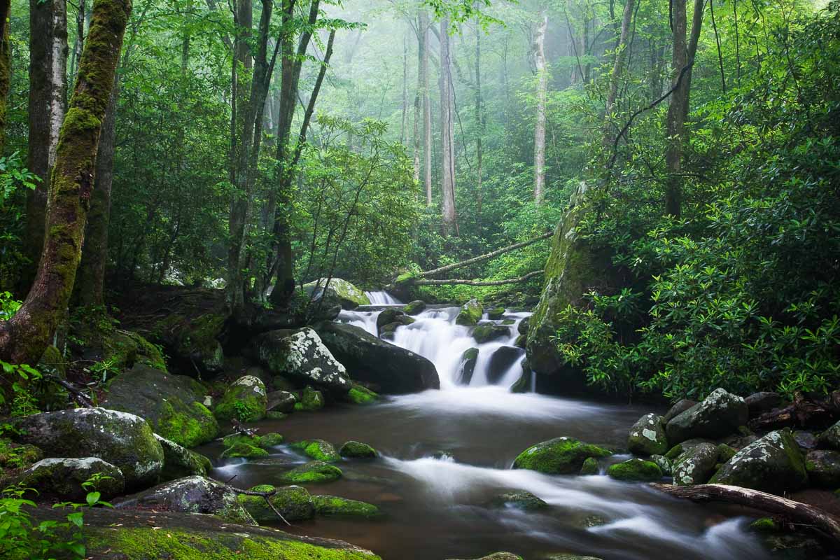 17 Beautiful Places In Tennessee So Gorgeous, You’ll Want To Cancel ...