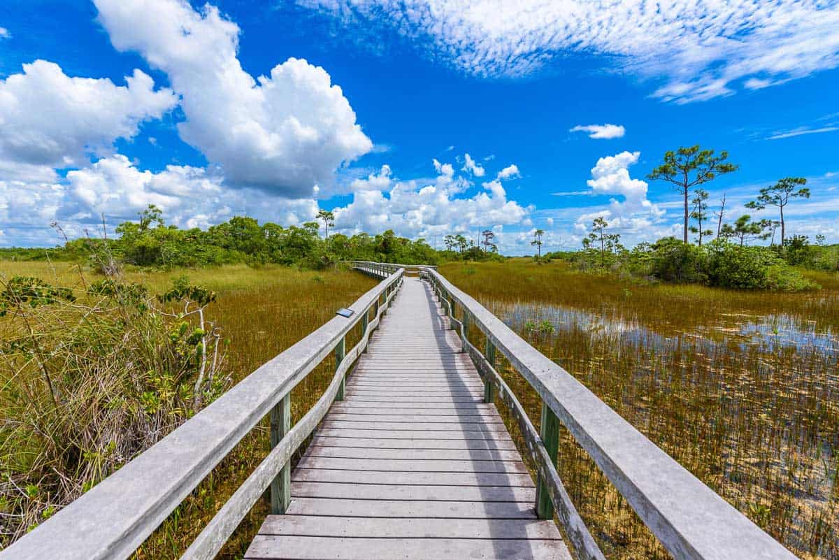Perfect One Day In Everglades National Park Itinerary For First-Timers